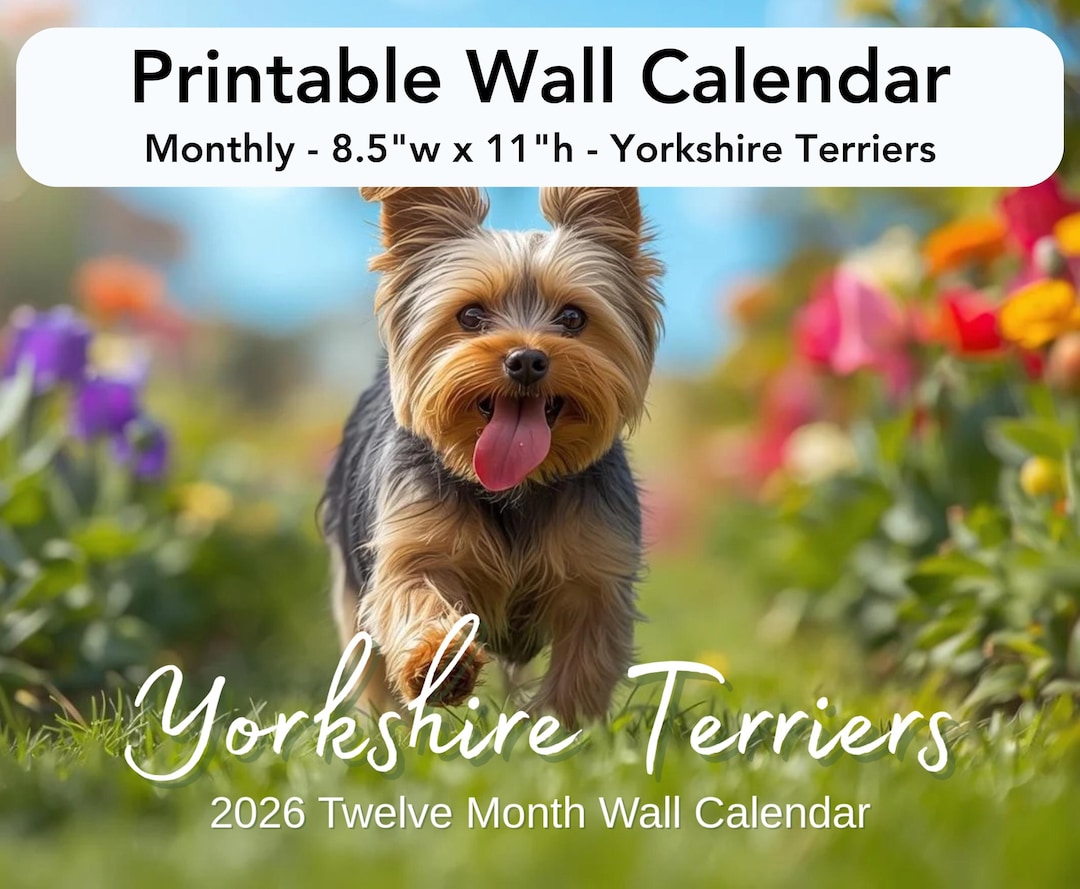 Yorkshire Terrier 2026 Wall Calendar - Dog Lover Gift (printable) - Etsy UK