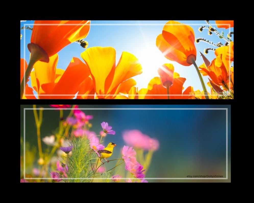 Facebook Cover Facebook Timeline Cover Facebook Cover Templates ...