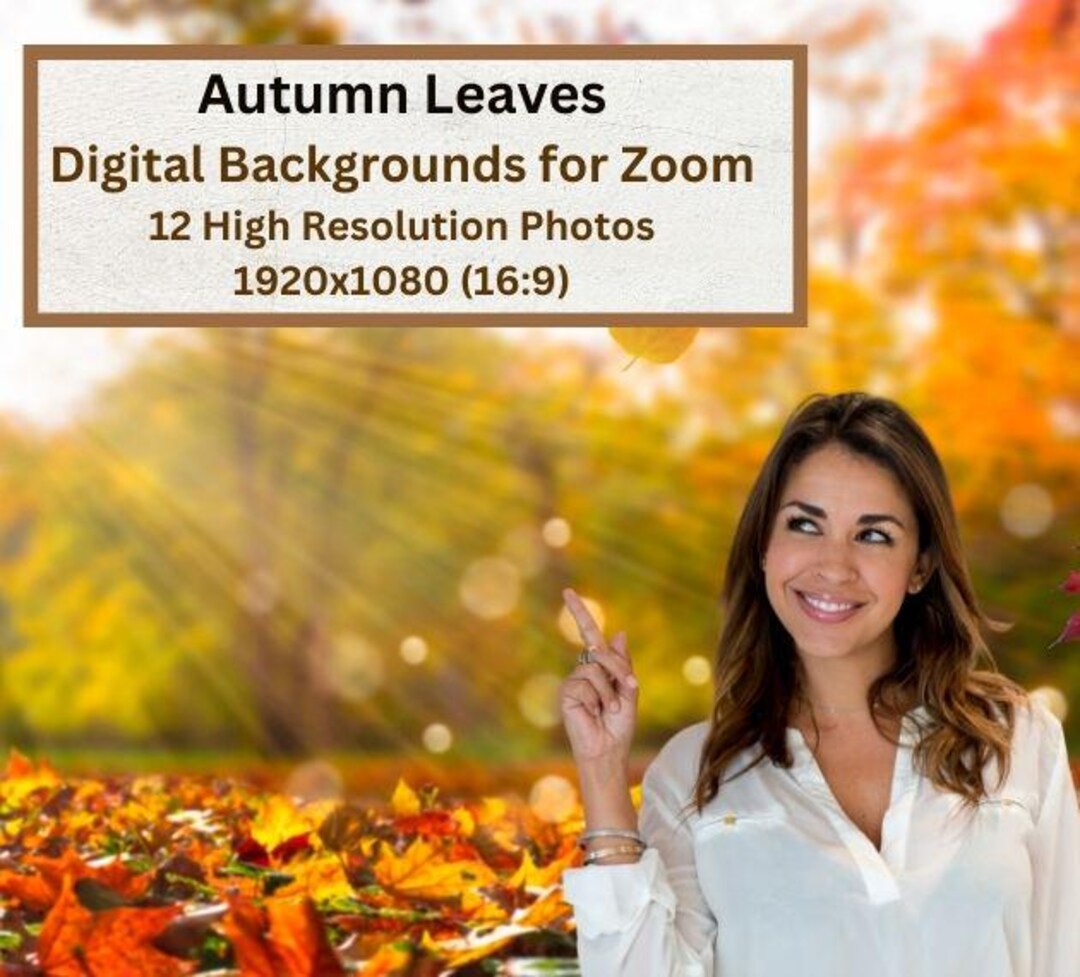 Virtual Zoom Background Professional Zoom Backdrops for Home Office ...