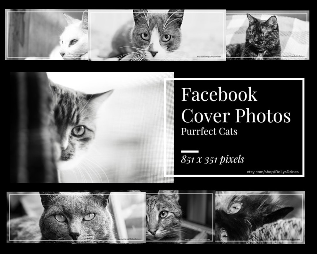 Cats Facebook Cover