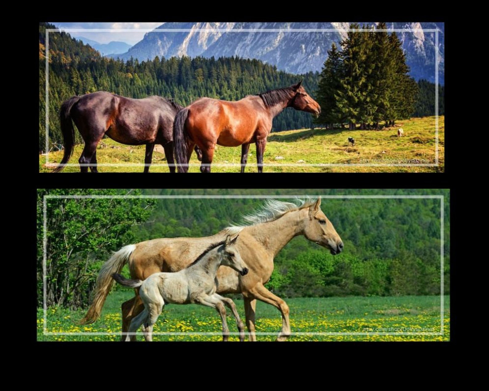 Facebook Cover Facebook Timeline Cover Facebook Cover Templates ...