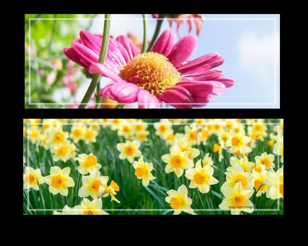 Facebook Cover Facebook Timeline Cover Facebook Cover Templates ...