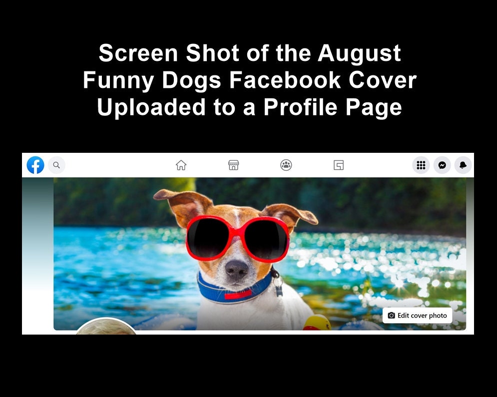 Funny Dog Facebook Covers