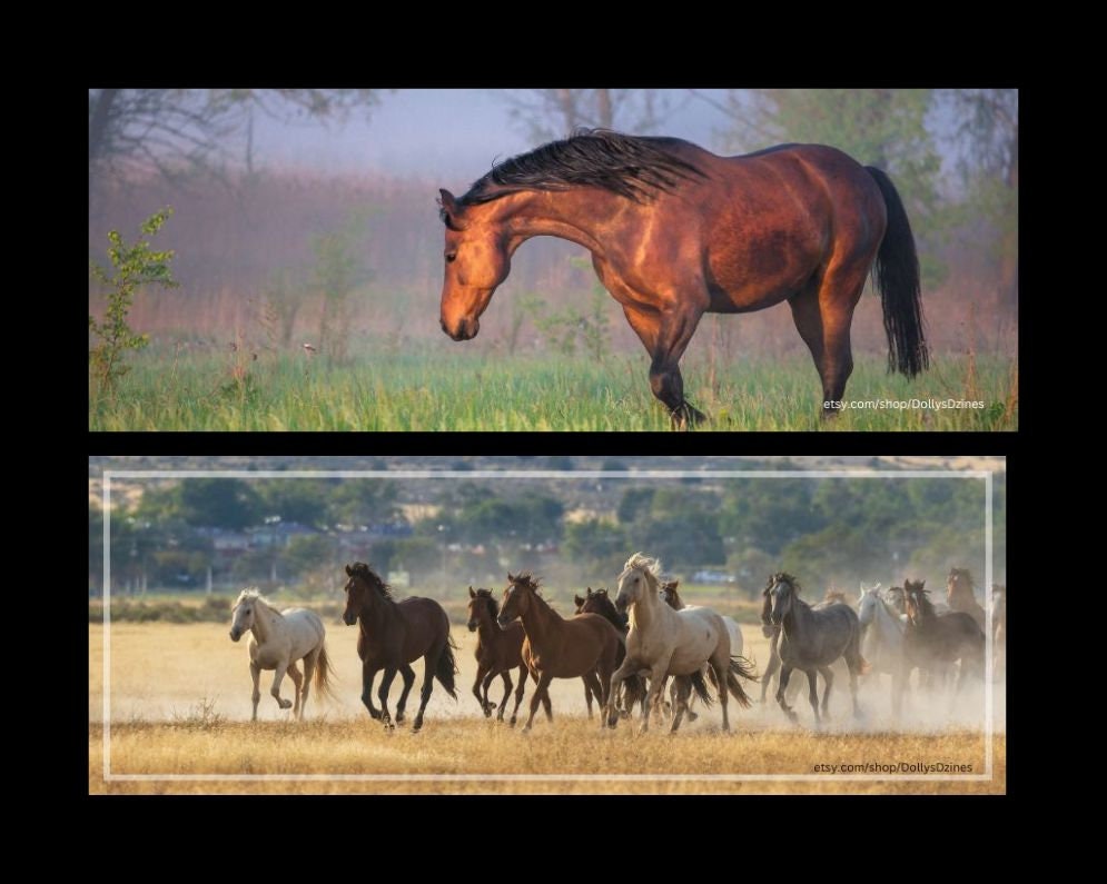 Facebook Cover Facebook Timeline Cover Facebook Cover Templates ...