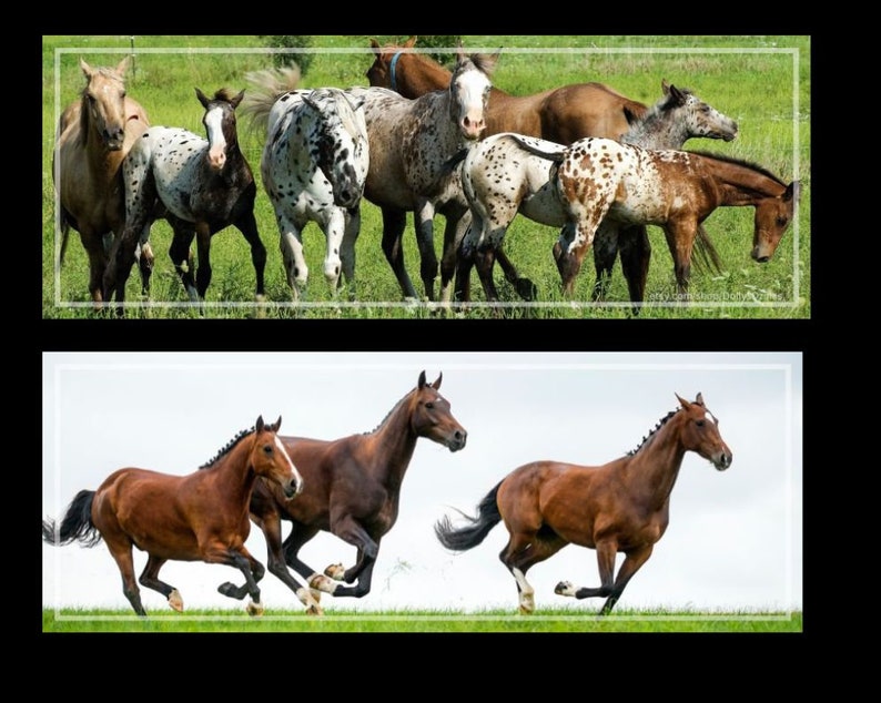 Facebook Cover Facebook Timeline Cover Facebook Cover Templates ...