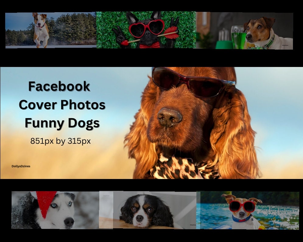 Funny Dog Facebook Covers