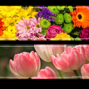 Facebook Banners | Timeline Photos | FB Banners | Cover Images | Spring ...