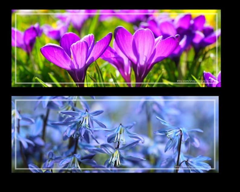 Facebook Cover Facebook Timeline Cover Facebook Cover Templates ...