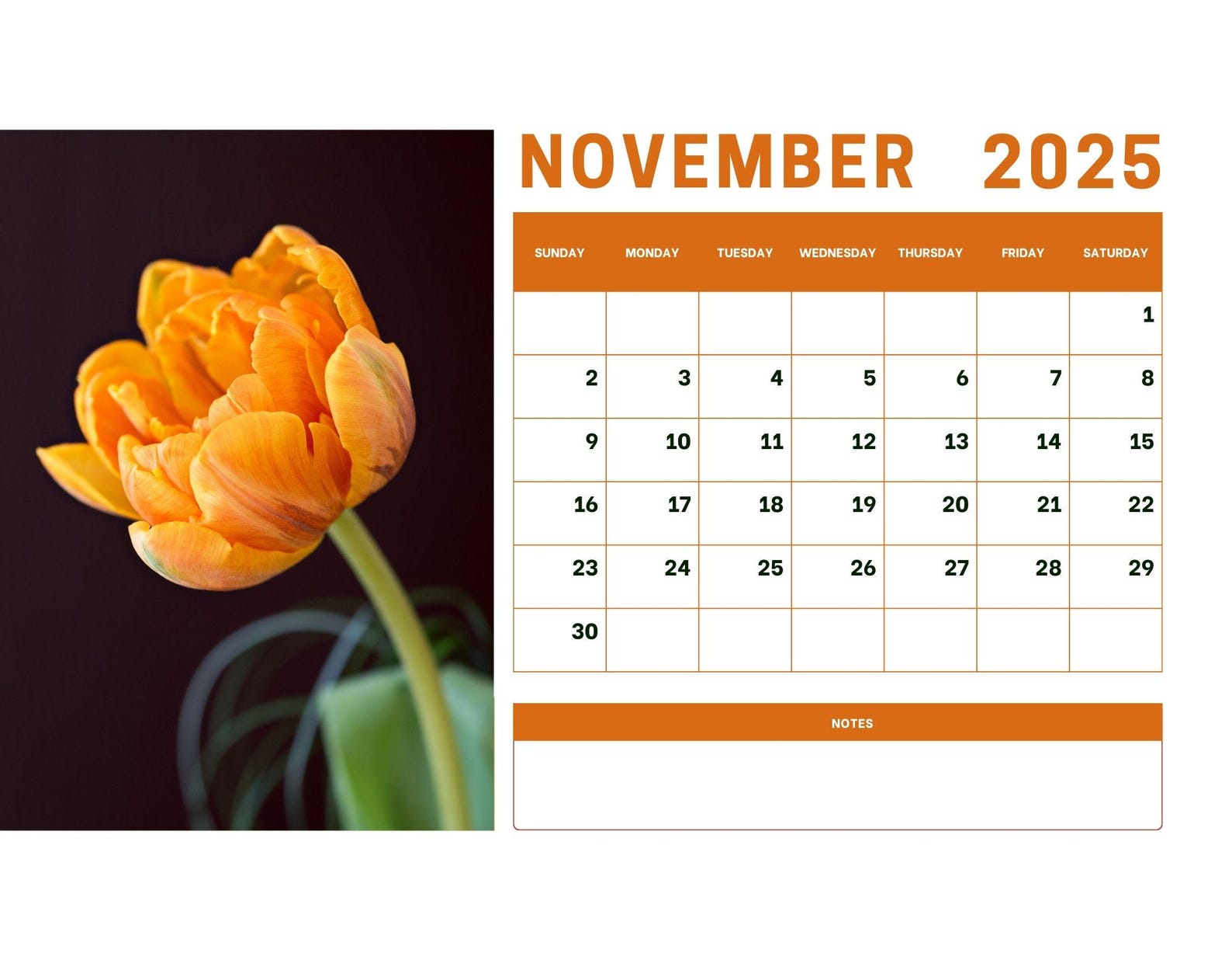 Tulips PRINTABLE Wall Calendar Monthly Desk Calendar Year Calendar ...
