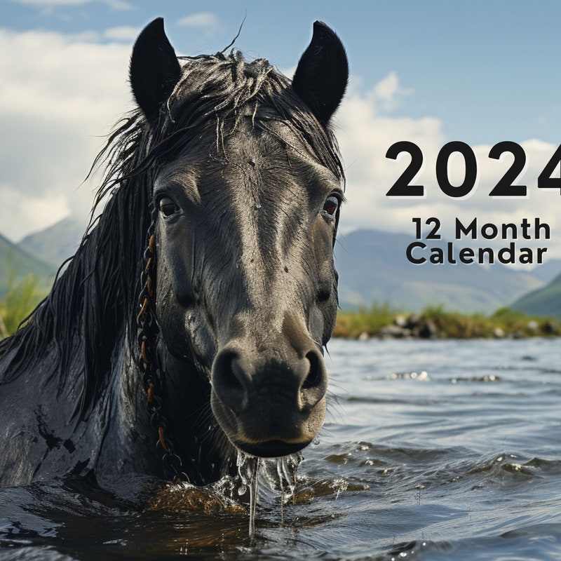 2024 Horse Calendar - Etsy
