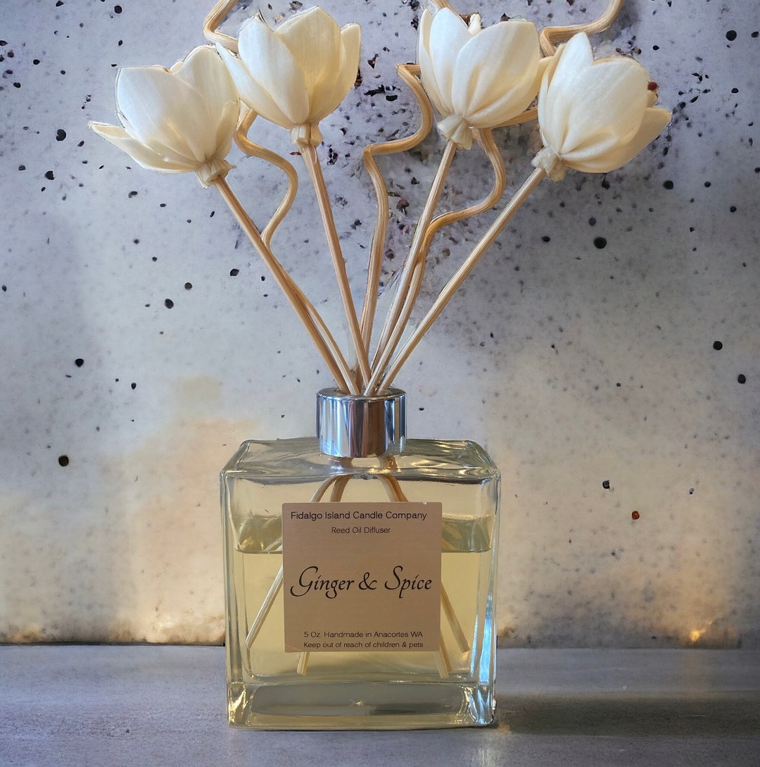 Ginger & Spice 5oz Flower Reed Diffuser - Etsy
