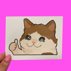 Thumbs up Crying Cat Meme Sticker Car Decals Vinyl Stickers Laptop ...