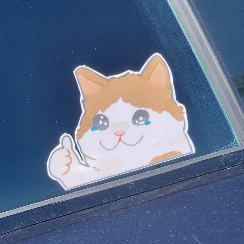 Cat Bumper Sticker - Etsy