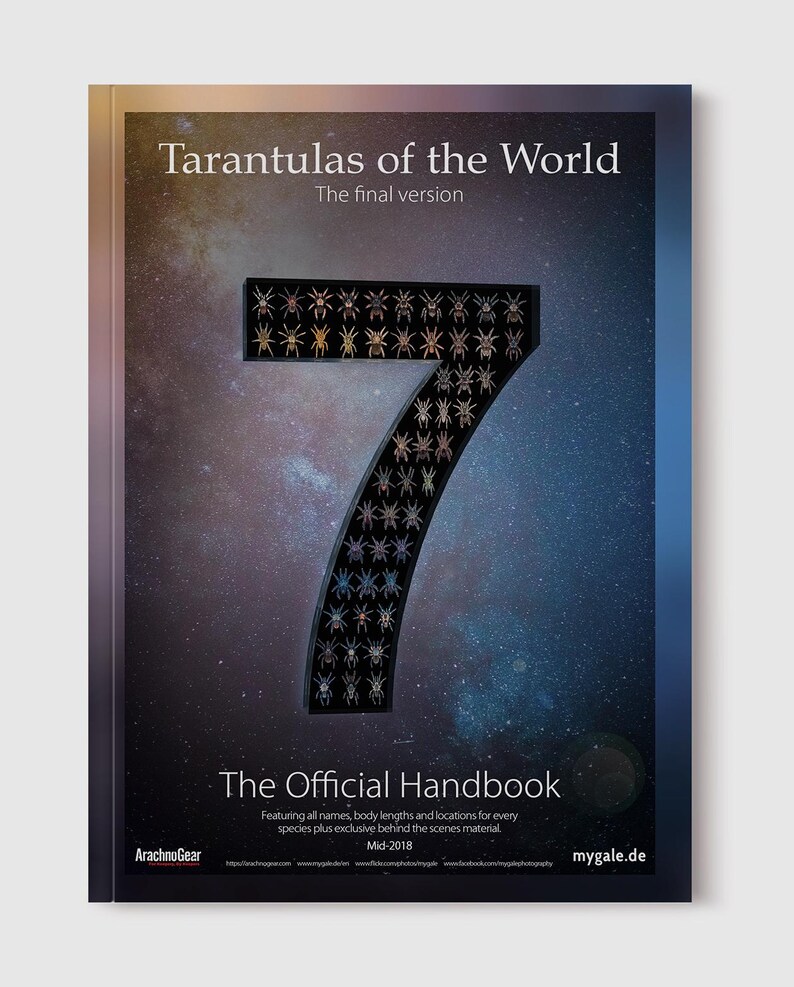 Tarantulas of the World 24×36 Poster - Matte Print - Etsy