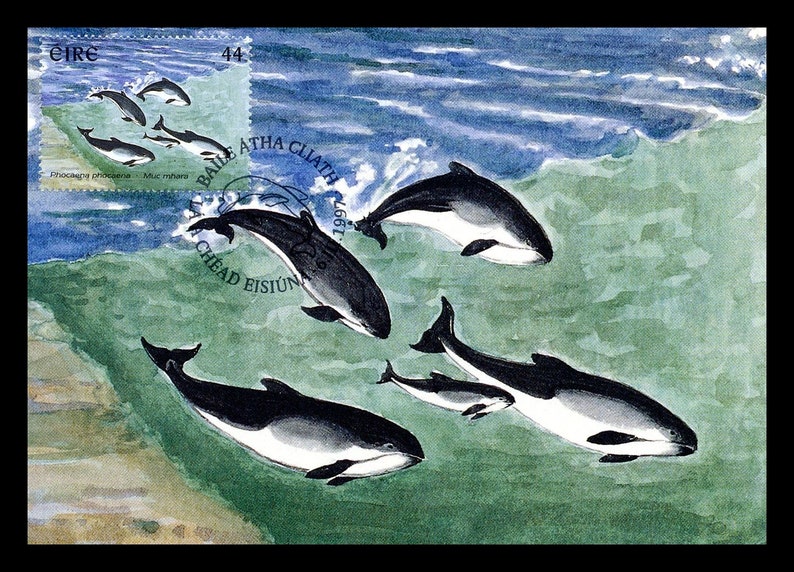 Ireland 1997 Marine Mammals Complete Set of Maximum Cards - Etsy