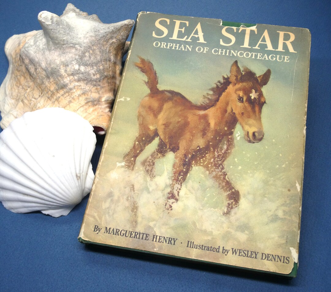 Sea Star, Orphan of Chincoteague, Vintage 1953 - Etsy