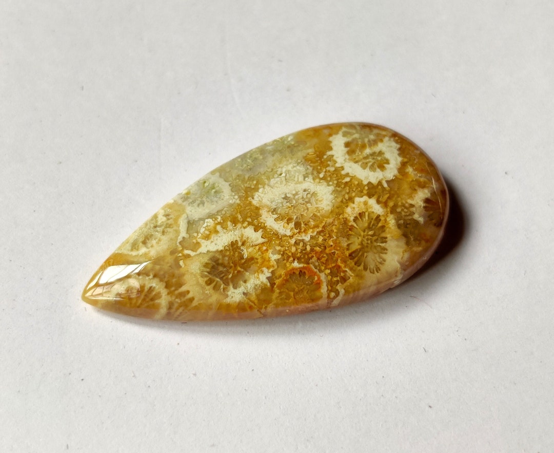 DESIGNER FOSSIL CORAL Edelstein 20Ct Natürliche Fossil Coral Cabochon ...