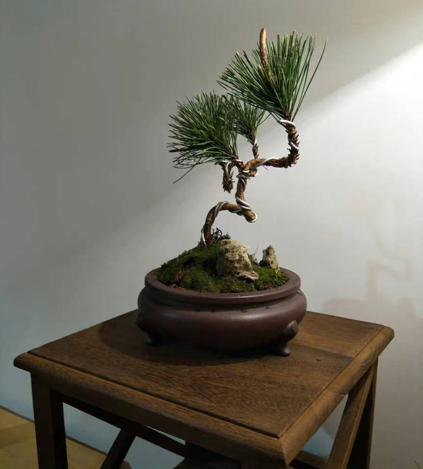 Round Three-legged Retro Simple Bonsai Pot China Yixing Zisha Pottery ...