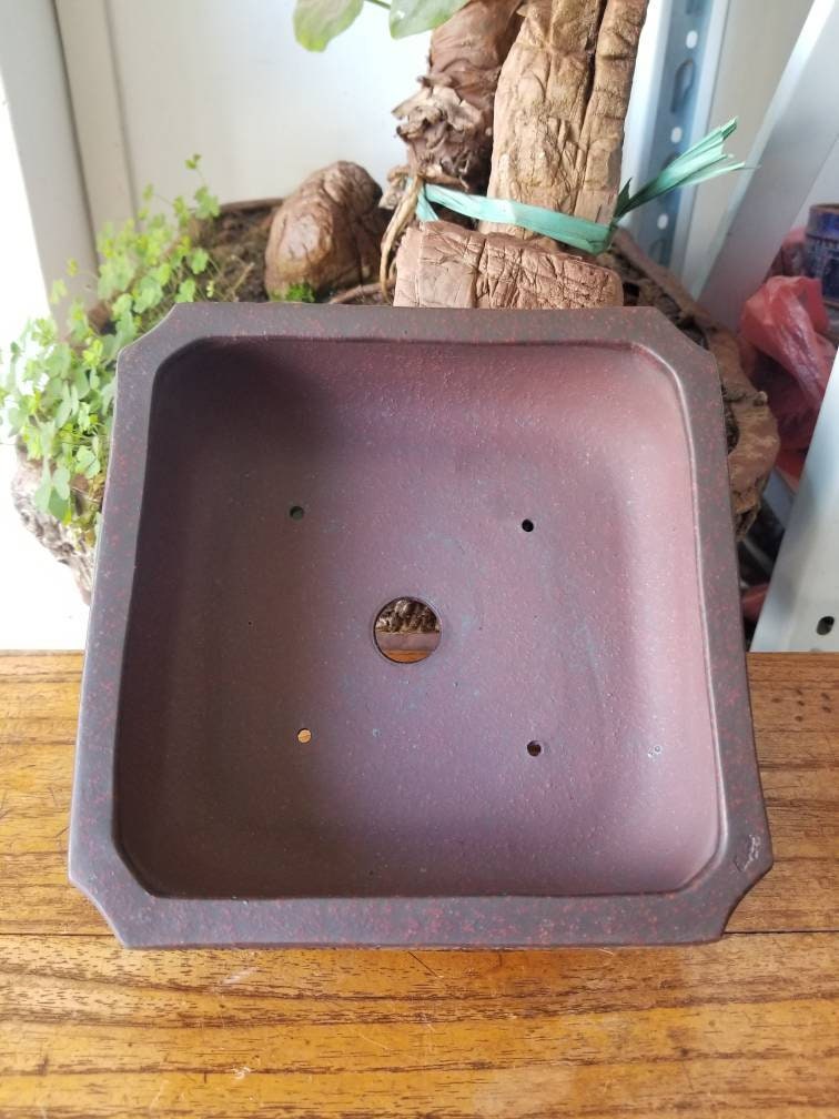 Square Shallow Bonsai Pot China Yixing Purple Sand Ancient Red - Etsy