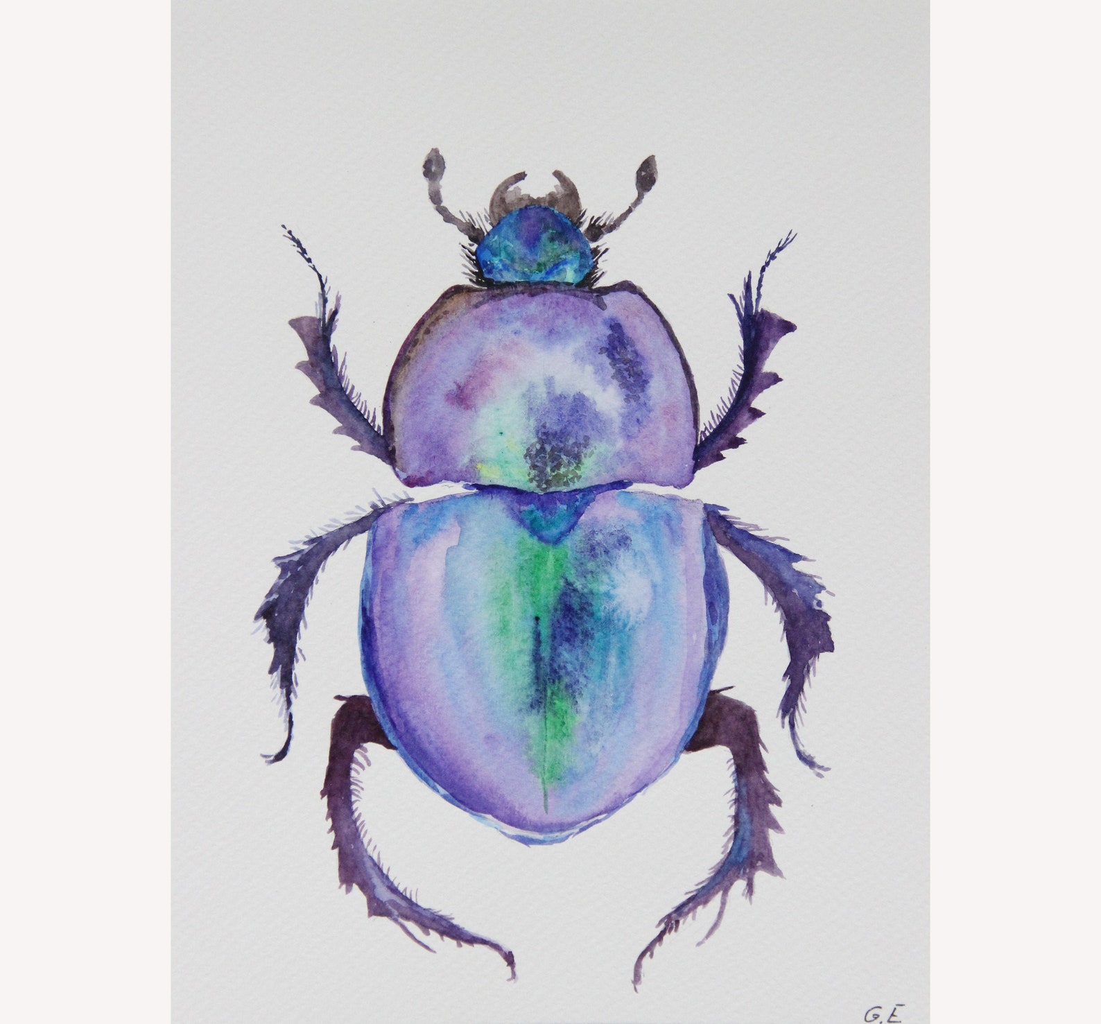 Bug Watercolor Original Painting Insect Watercolor Art Small | Etsy