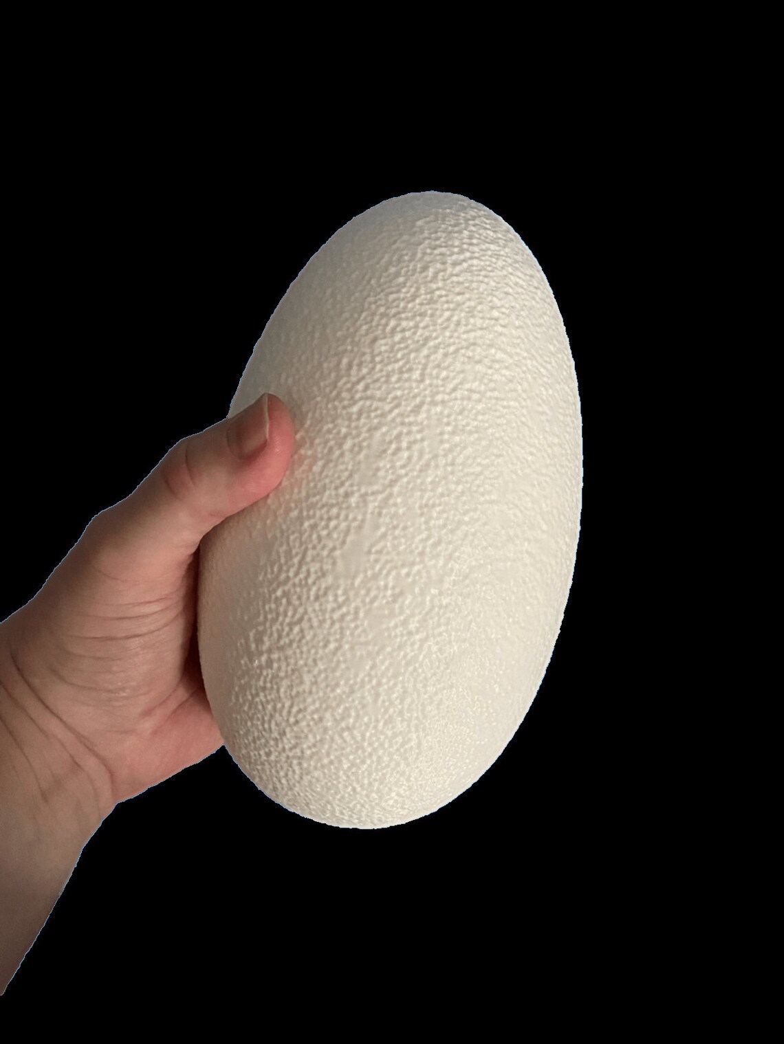 Velociraptor Egg 3D Printed Jurassic Park Life Size Scale - Etsy