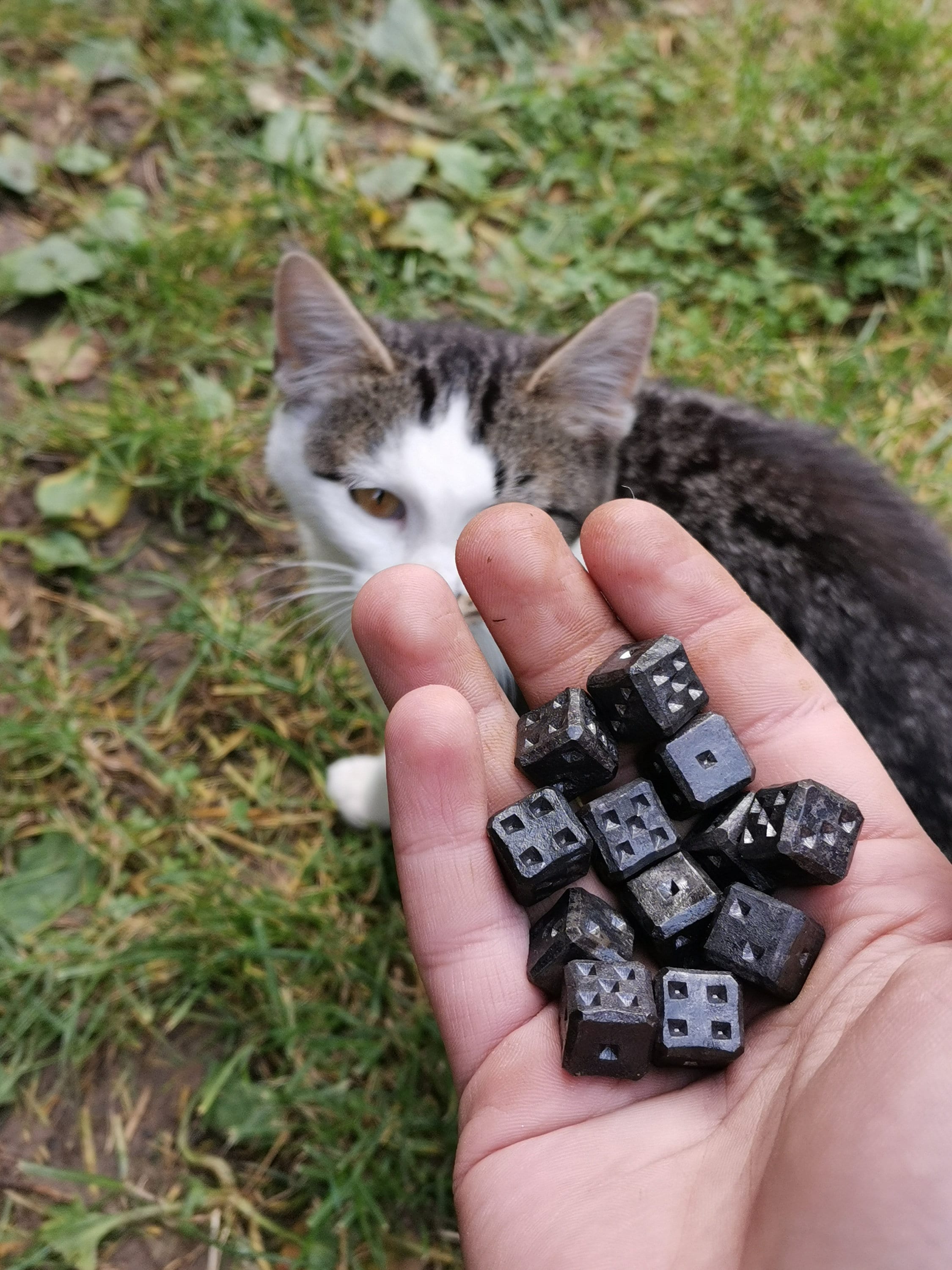 Set of Six Steel Hand Forged Dice Unique Collectible Dice | Etsy