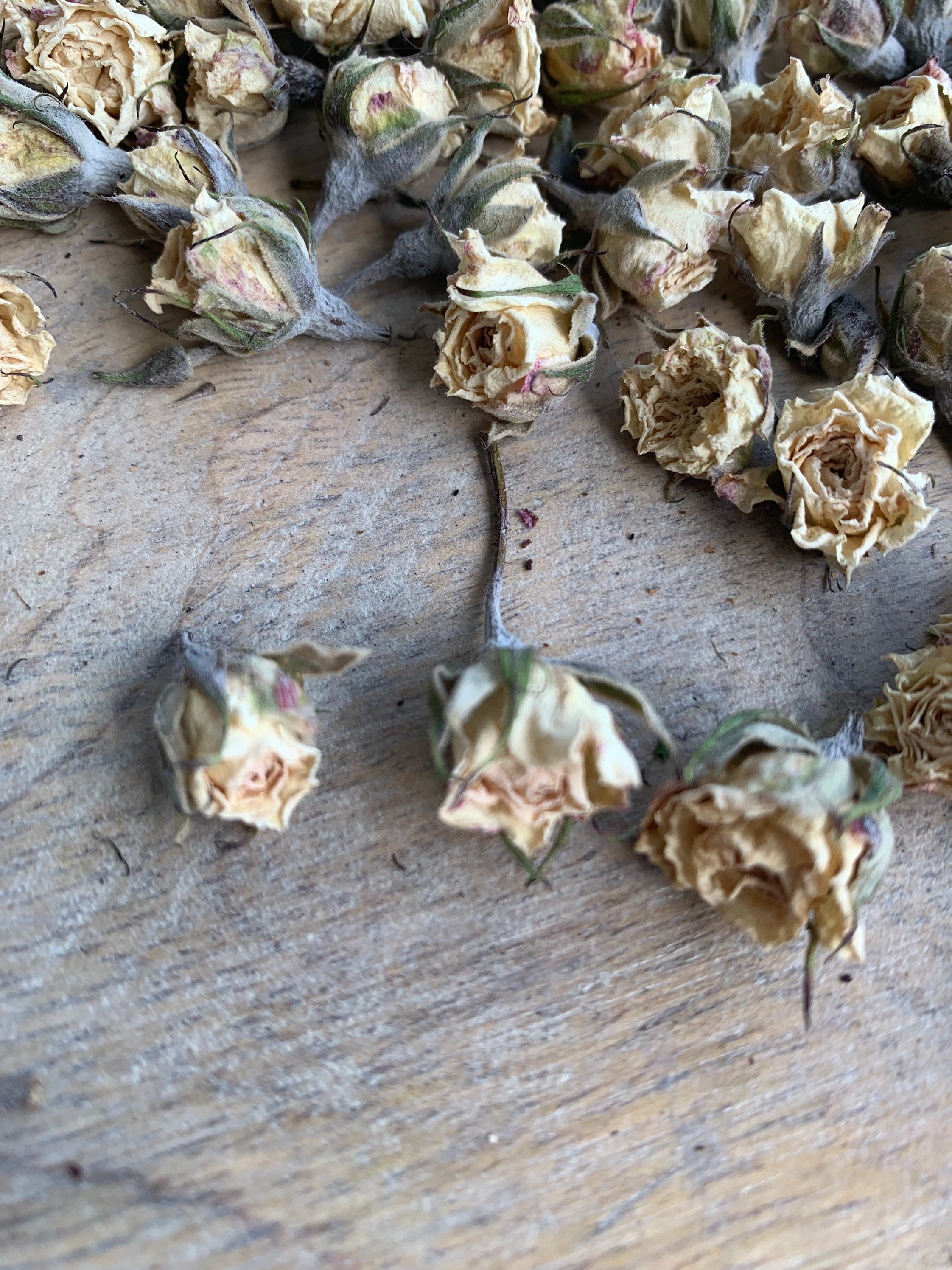 Preserved White Roses Dried White Roses Boho Real Flowers - Etsy