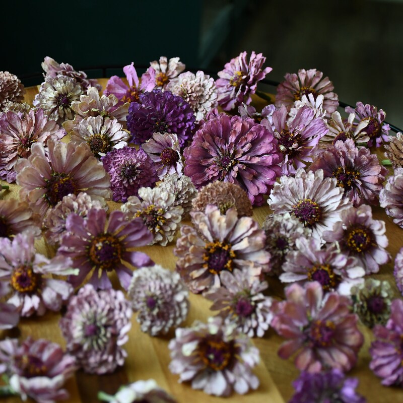 Table Scatter - Etsy