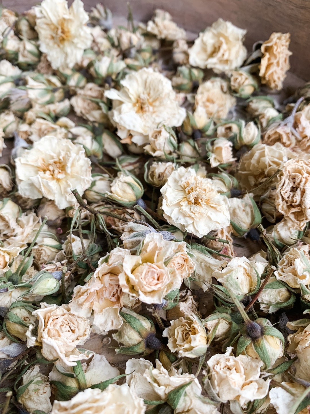 Preserved White Roses Dried White Roses Boho Real Flowers - Etsy