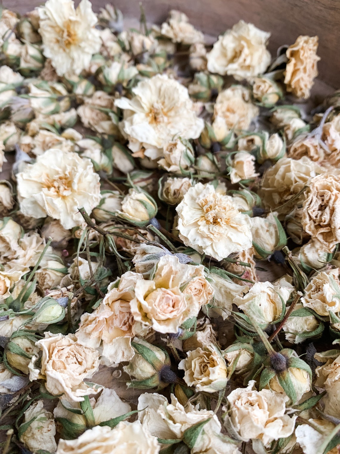 Preserved White Roses Dried White Roses Boho Real Flowers - Etsy