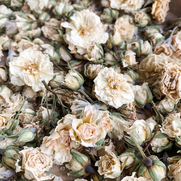 Dried White Roses - Etsy