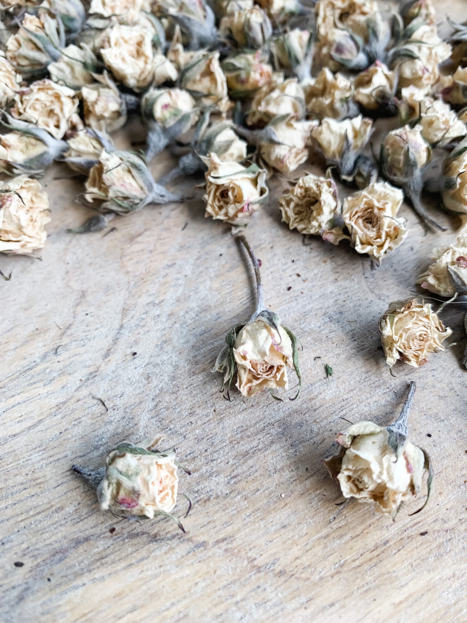 Preserved White Roses Dried White Roses Boho Real Flowers - Etsy
