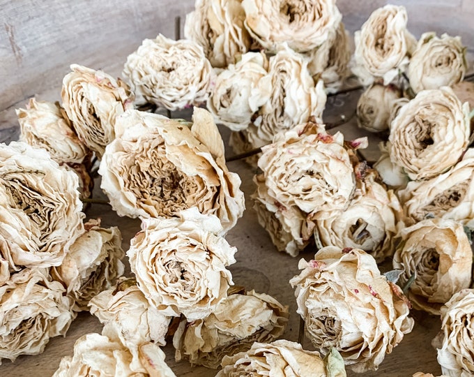 Preserved White Roses, Dried White Roses, Real Flowers, Wedding Table ...