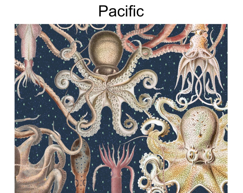 Cephalopods Wallpaper Mural, Octopus Mural, Peel & Stick Wallpaper ...