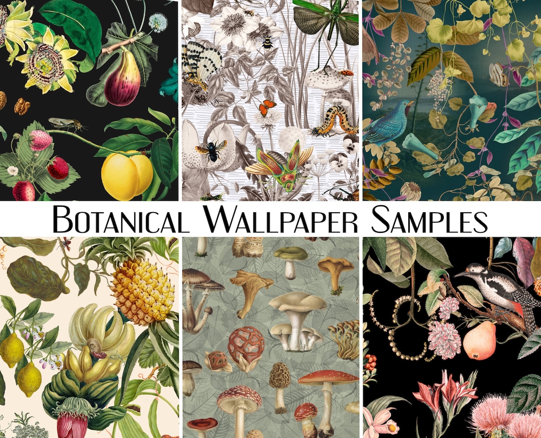 Botanical Wallpaper Samples Removable Wallpaper Sample Peel & Stick ...