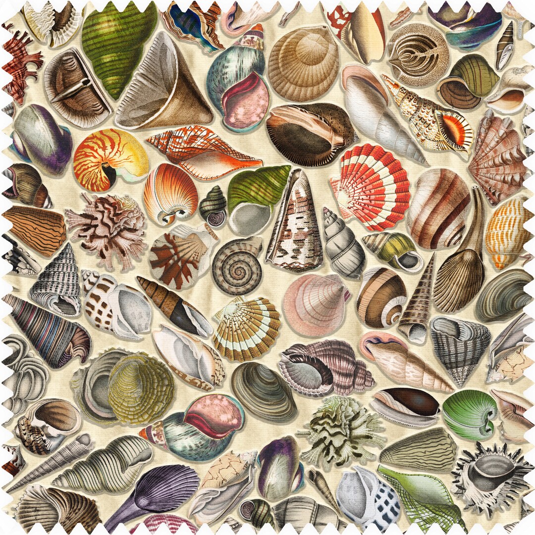 Shell Fabric, Tropical Beach Fabric, Seaside Fabric, Velvet Fabric ...