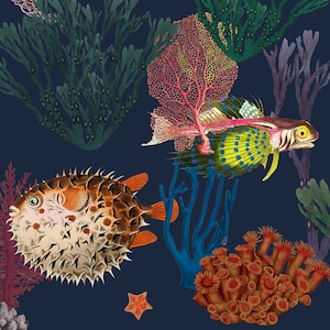 Aquatic Magic Mural, Peel & Stick and Traditional Wallpaper, Designer ...