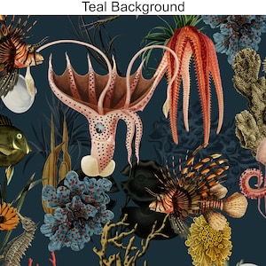 Fish Wallpaper Mural, Bathroom Wallpaper, Aquatic Wallpaper, Peel ...