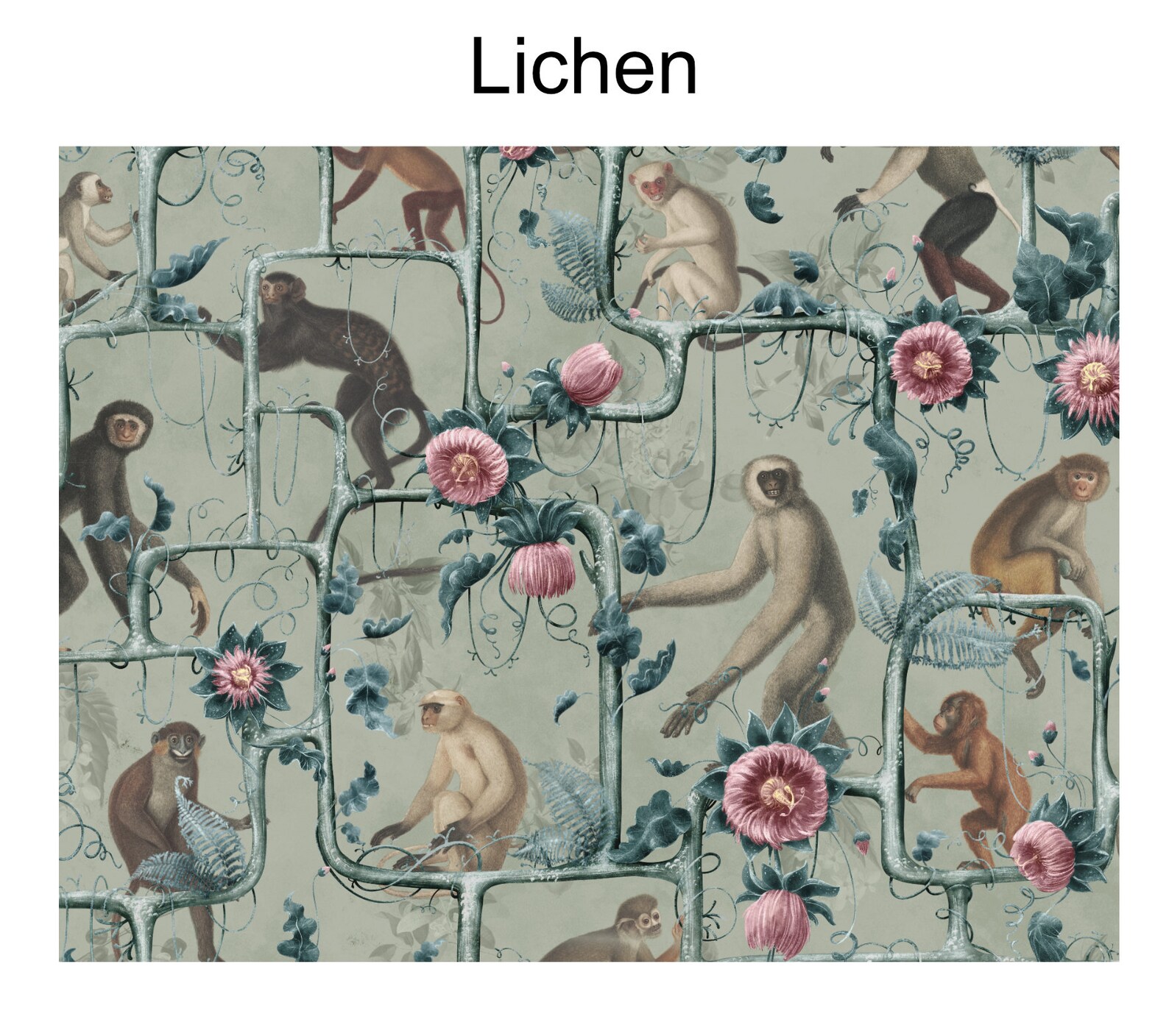 Monkey Trellis Wallpaper Mural, Peel & Stick and Traditional Wallpaper ...