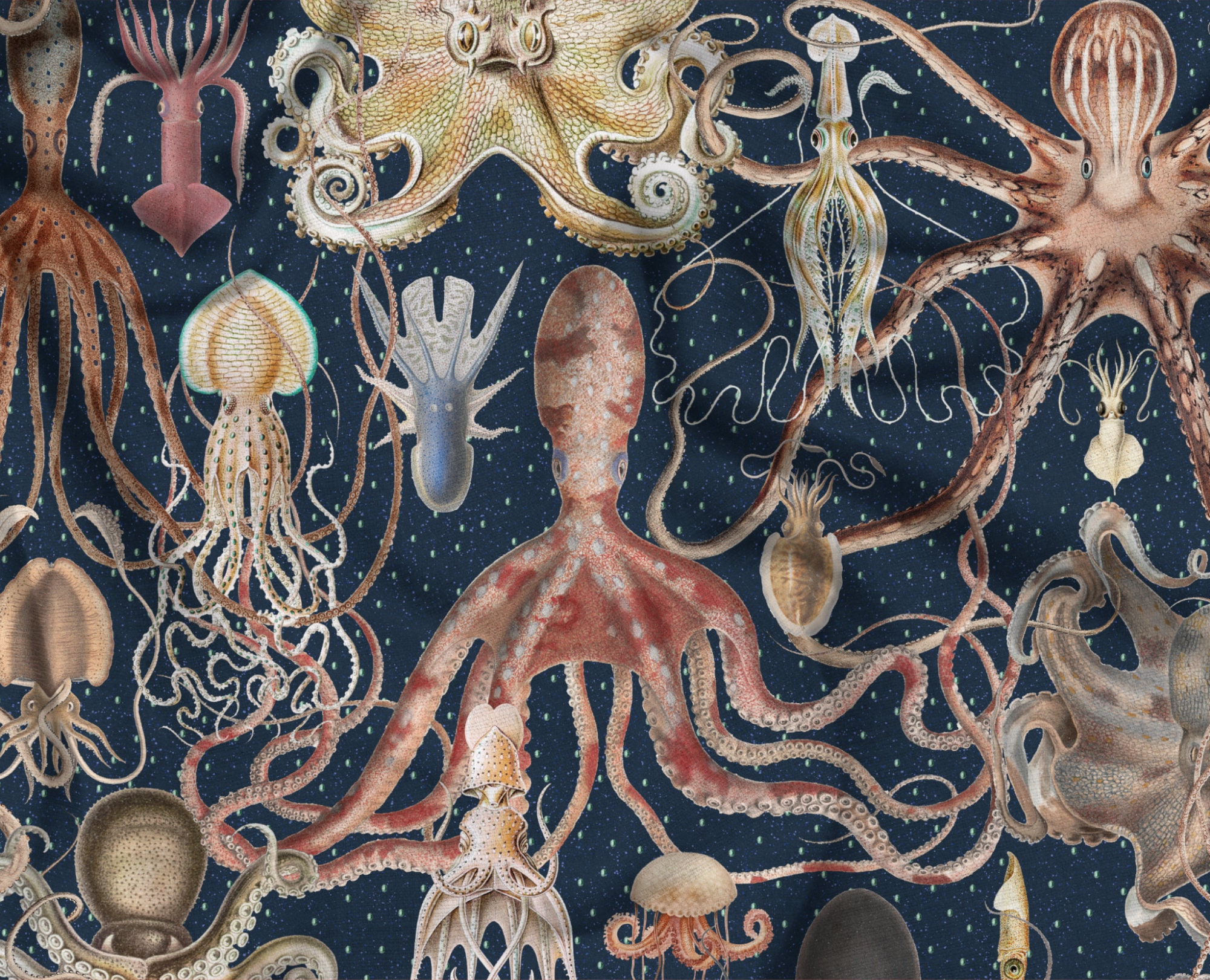 Cephalopods Fabric, Octopus Fabric, Velvet Fabric | Material, Organic ...