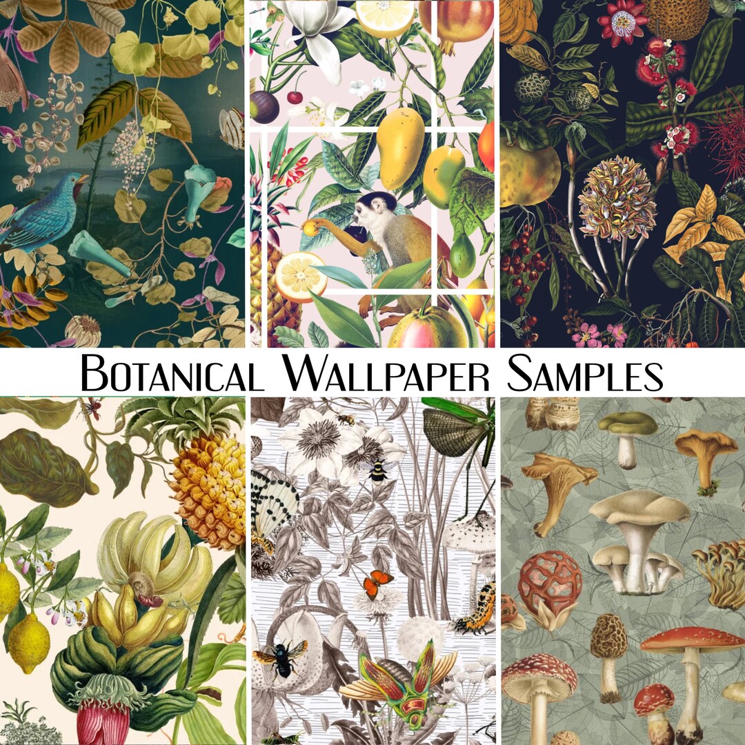 Botanical Wallpaper Samples | Removable Wallpaper Sample | Peel & Stick ...
