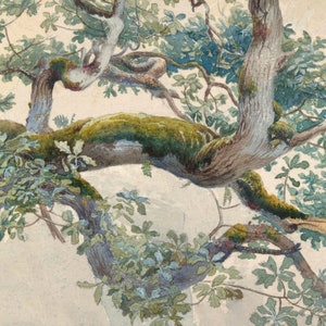 Tree Branches Mural, Peel & Stick and Traditional Wallpaper, Botanical ...