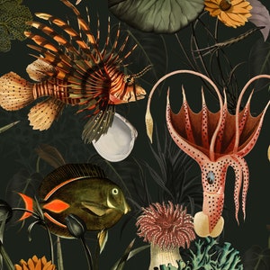 Fish Wallpaper Mural, Bathroom Wallpaper, Aquatic Wallpaper, Peel ...