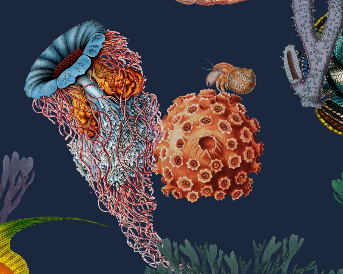 Aquatic Magic Mural Custom Size Mural Bathroom Wallpaper - Etsy UK