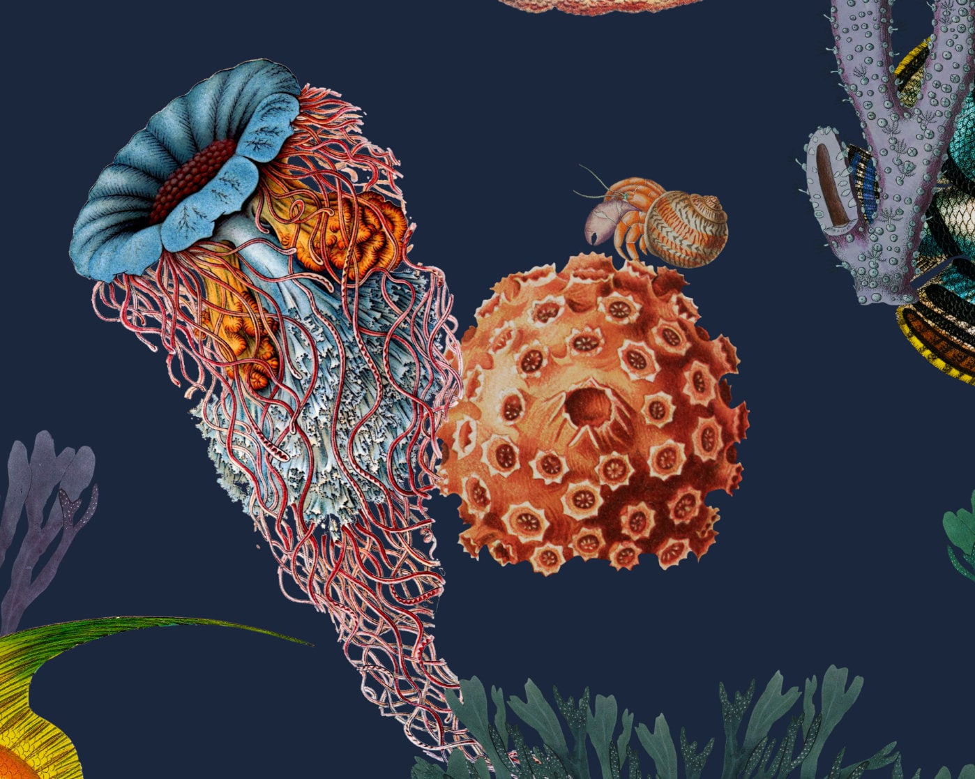 Aquatic Magic Mural Custom Size Mural Bathroom Wallpaper - Etsy UK