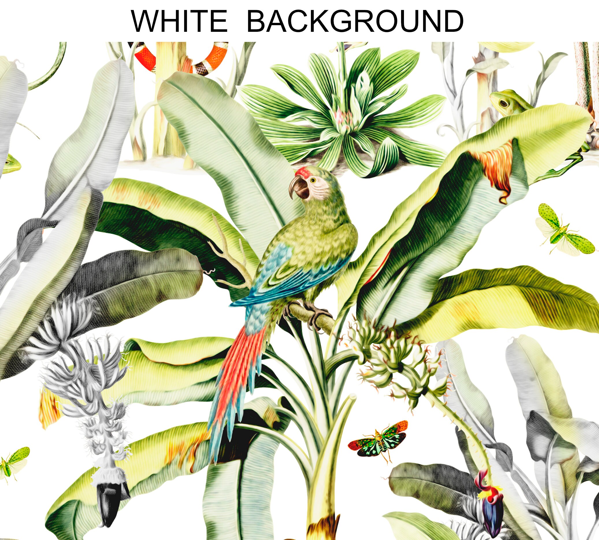 Jungle Fever Wallpaper, Peel & Stick and Traditional Wallpaper ...