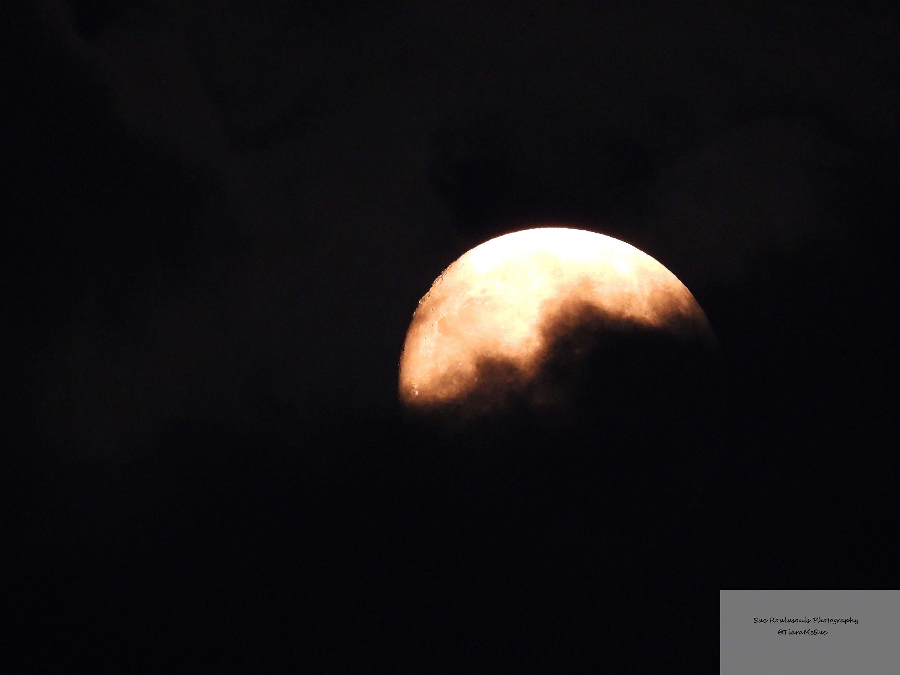 Batch of 10 Gothic Moon Photos / Digital Downloads / Wall Art ...