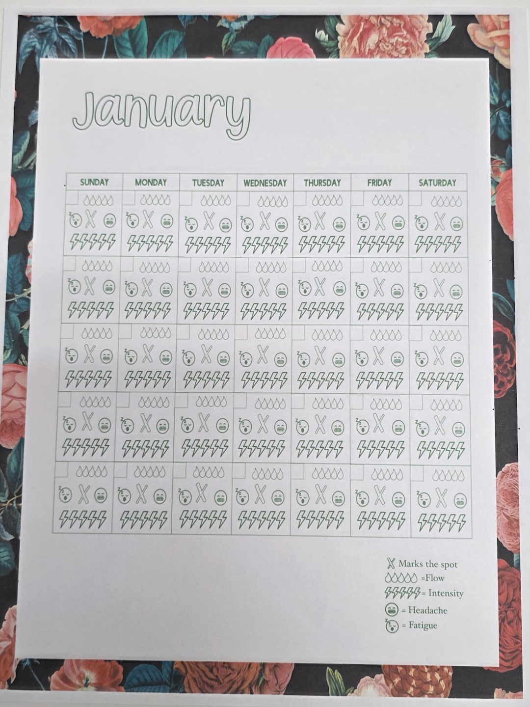 Printable Period Tracker, Year Tracker, Habit Tracker, Body Scan ...