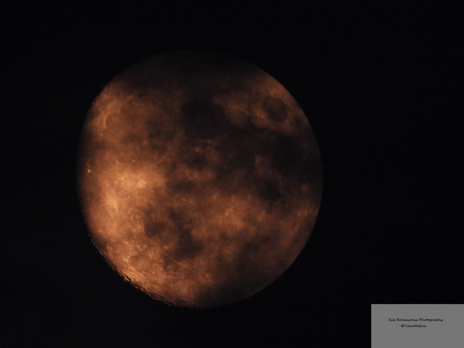 Batch of 10 Gothic Moon Photos / Digital Downloads / Wall Art ...
