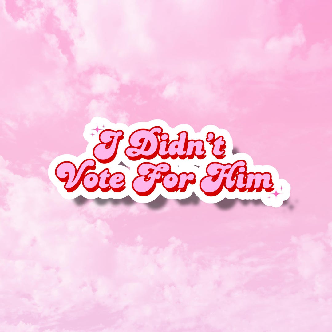 I Didnt Vote for Him Sticker, Girly Feminist Decals, Cute Political ...